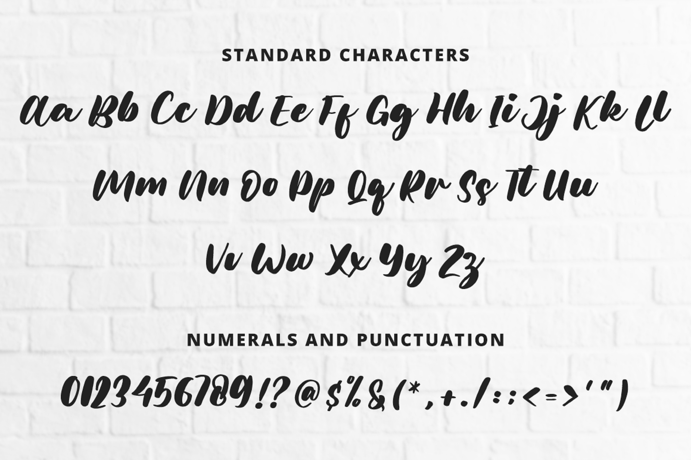 Bold Script Font, Fonts | GraphicRiver